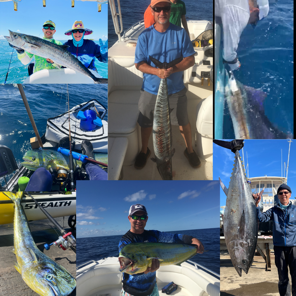 Mahi Trolling Lure | Stinger Hook Rig | King Mackerel & Kingfish Rigs ...